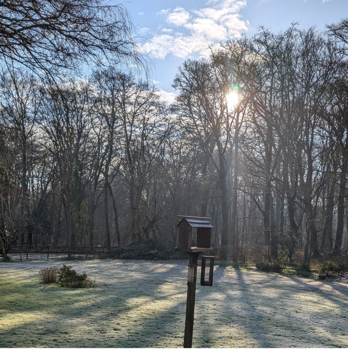 February 2026: "From A New Forest Inclosure” by Ian Thew – New Forest ...