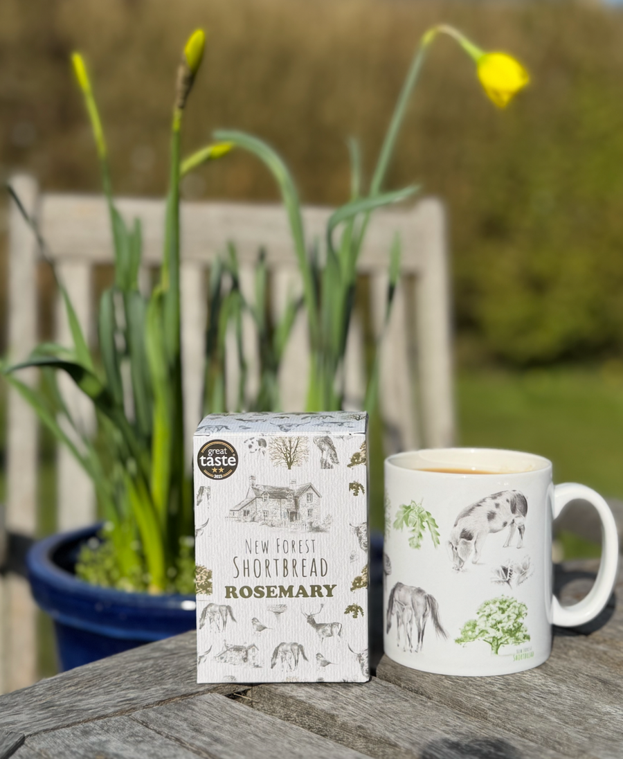 Rosemary Flavoured New Forest Shortbread - Box of 8 | All Butter ...